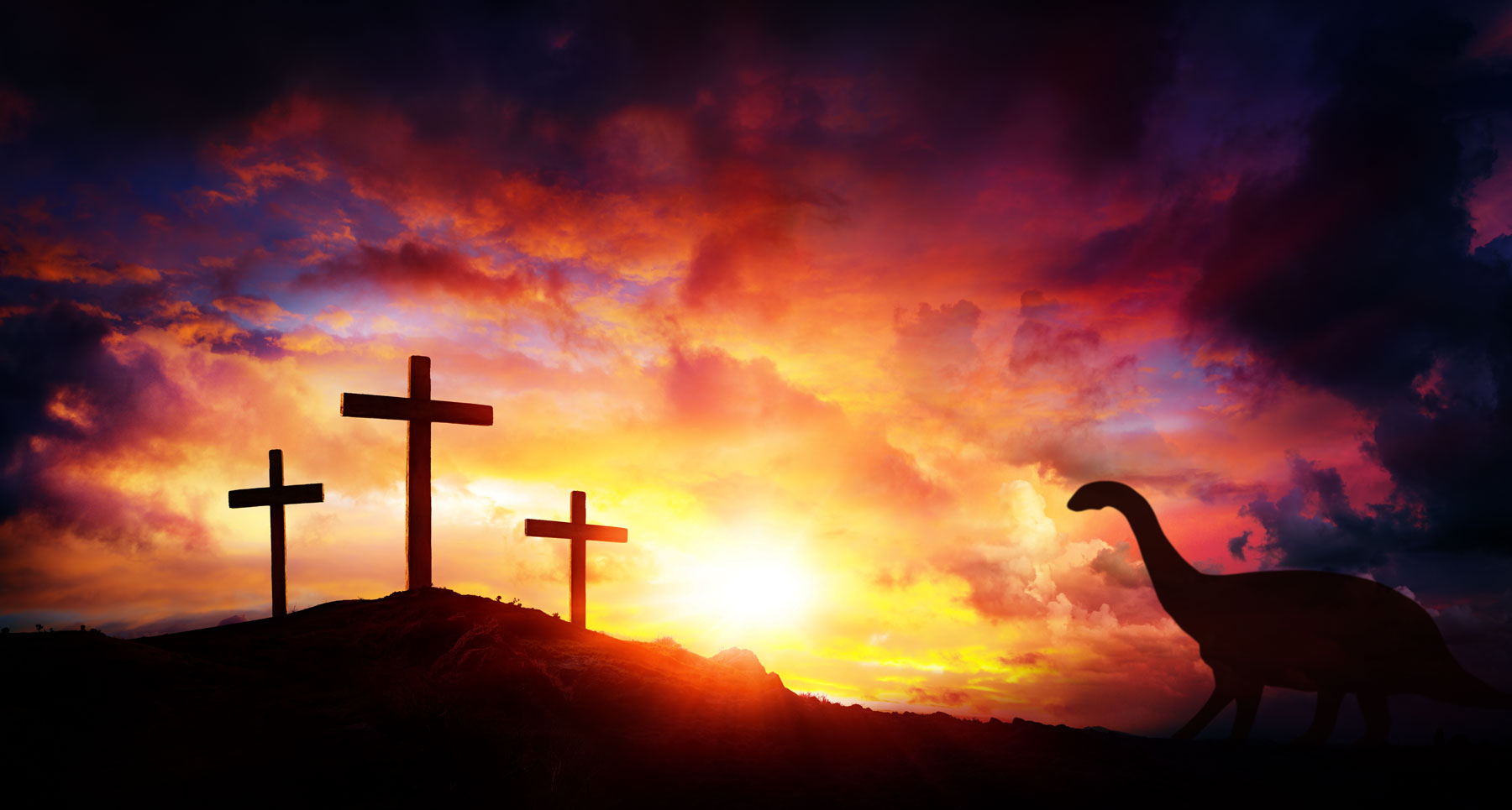 Biblical Creation Bookstore