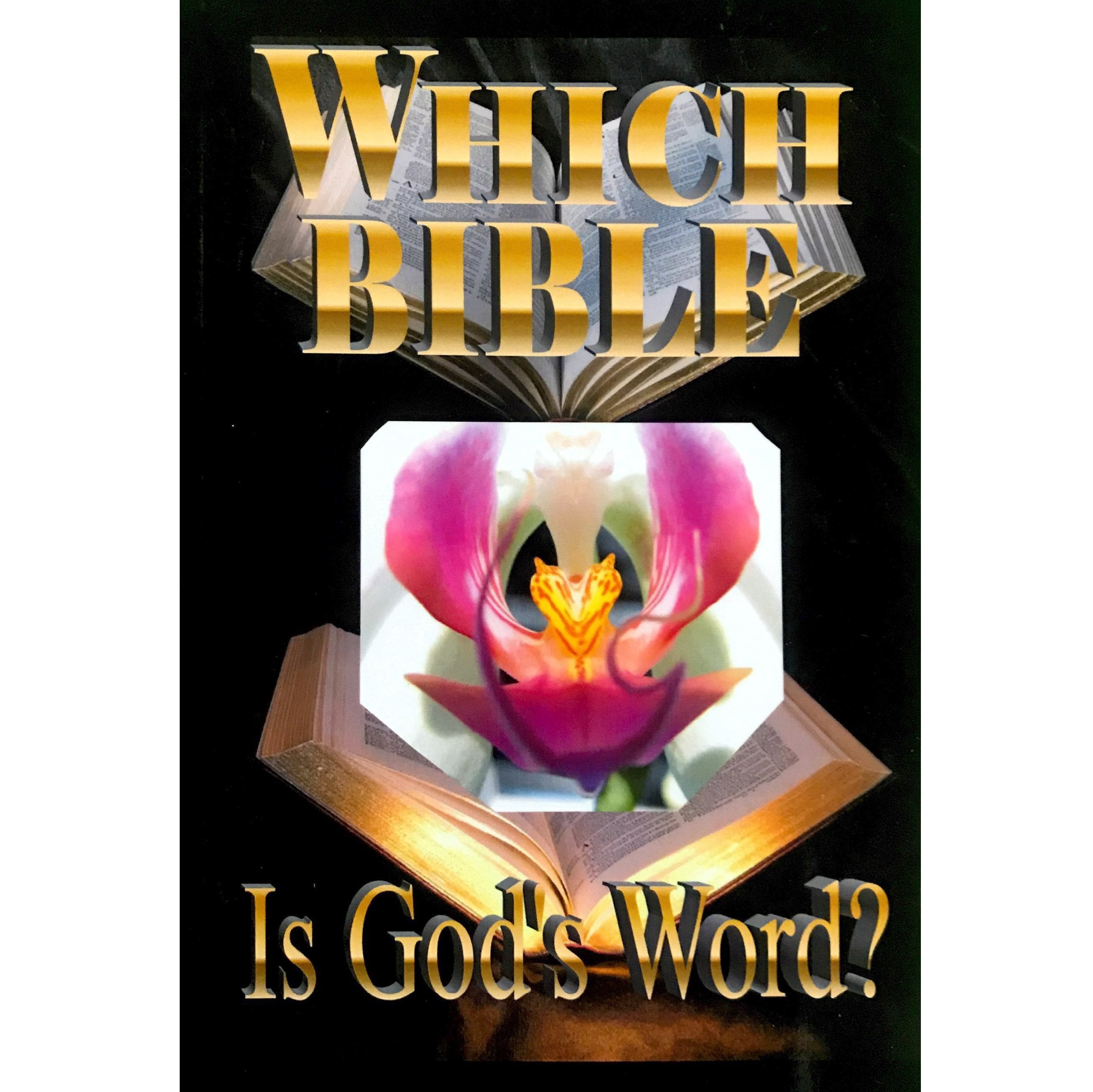 Which Bible Is God's Word? — Biblical Creation Bookstore